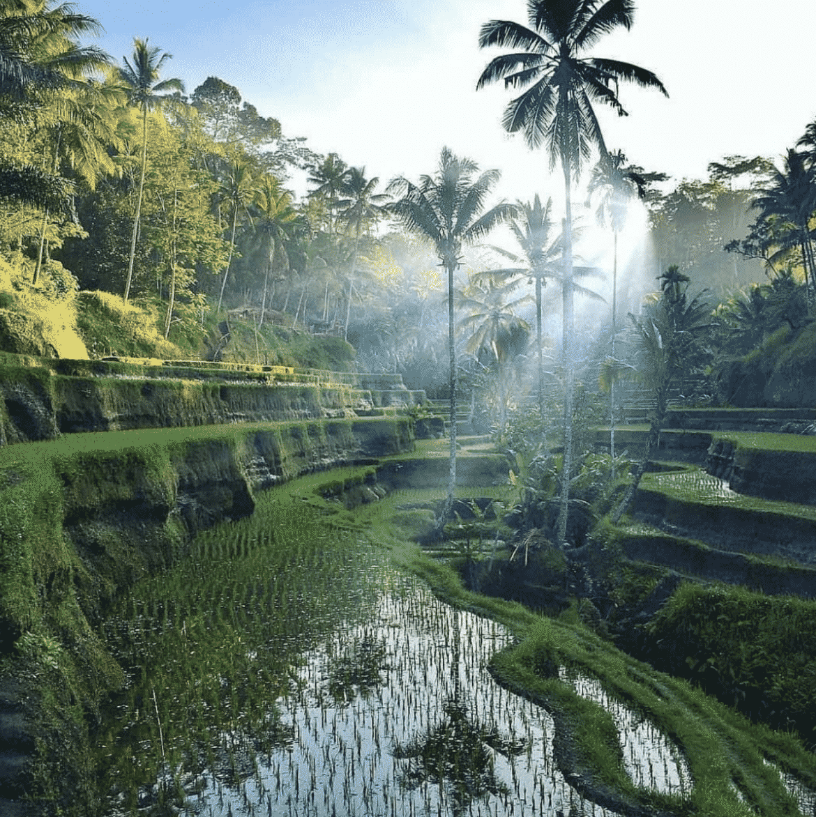 Guía Completa de Bali. Qué ver, qué hacer, dónde comer. Vivo en Bali... Guía Completa de Bali. Qué ver, qué hacer, dónde comer. Vivo en Bali...