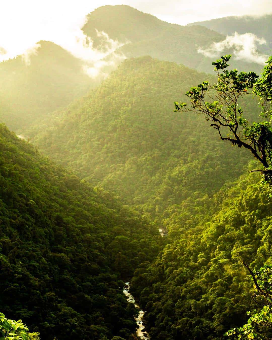 Visita al Parque Nacional Braulio Carrillo - Carlos de Ory